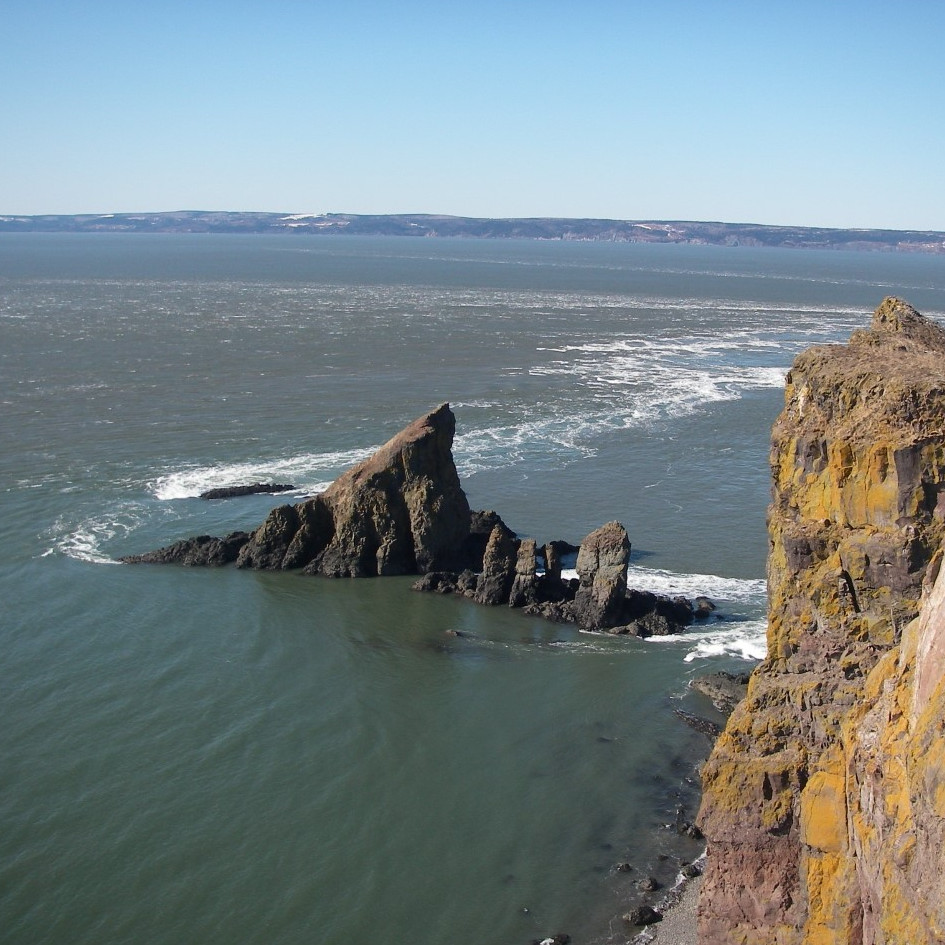 2019 — Cape Split Trail Race — Race Roster — Registration, Marketing ...