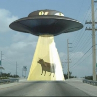 2015 — Cow Key Channel Bridge Run Zero K — Race Roster — Registration ...