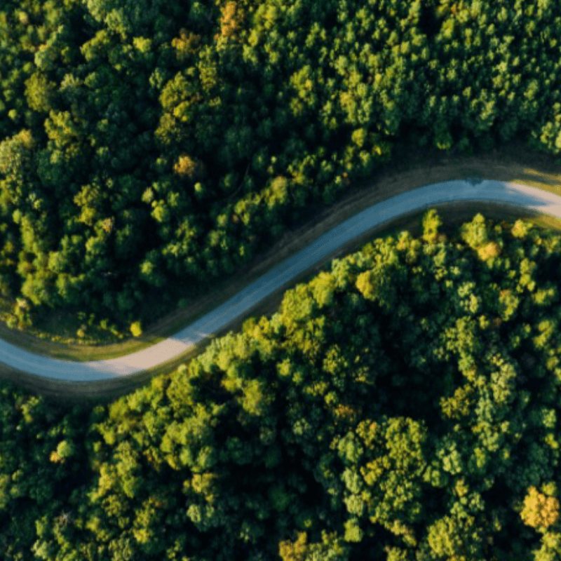 Run With Impact | National — Store — SPRING N2 FITNESS — Race Roster ...