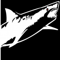 Sharkfest Swim® Series — Race Roster — Registration, Marketing, Fundraising