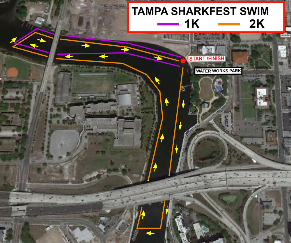 2019 — 2019 Tampa Bay Sharkfest Swim — Race Roster — Registration ...